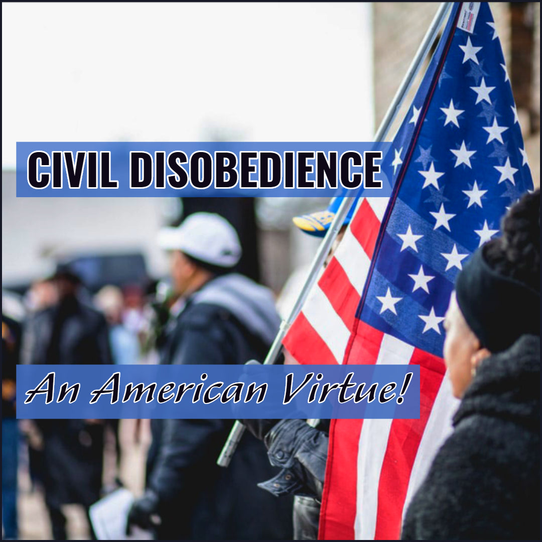 🗽 CIVIL DISOBEDIENCE- AN AMERICAN VIRTUE! 🗽 – Hoodie Goodies